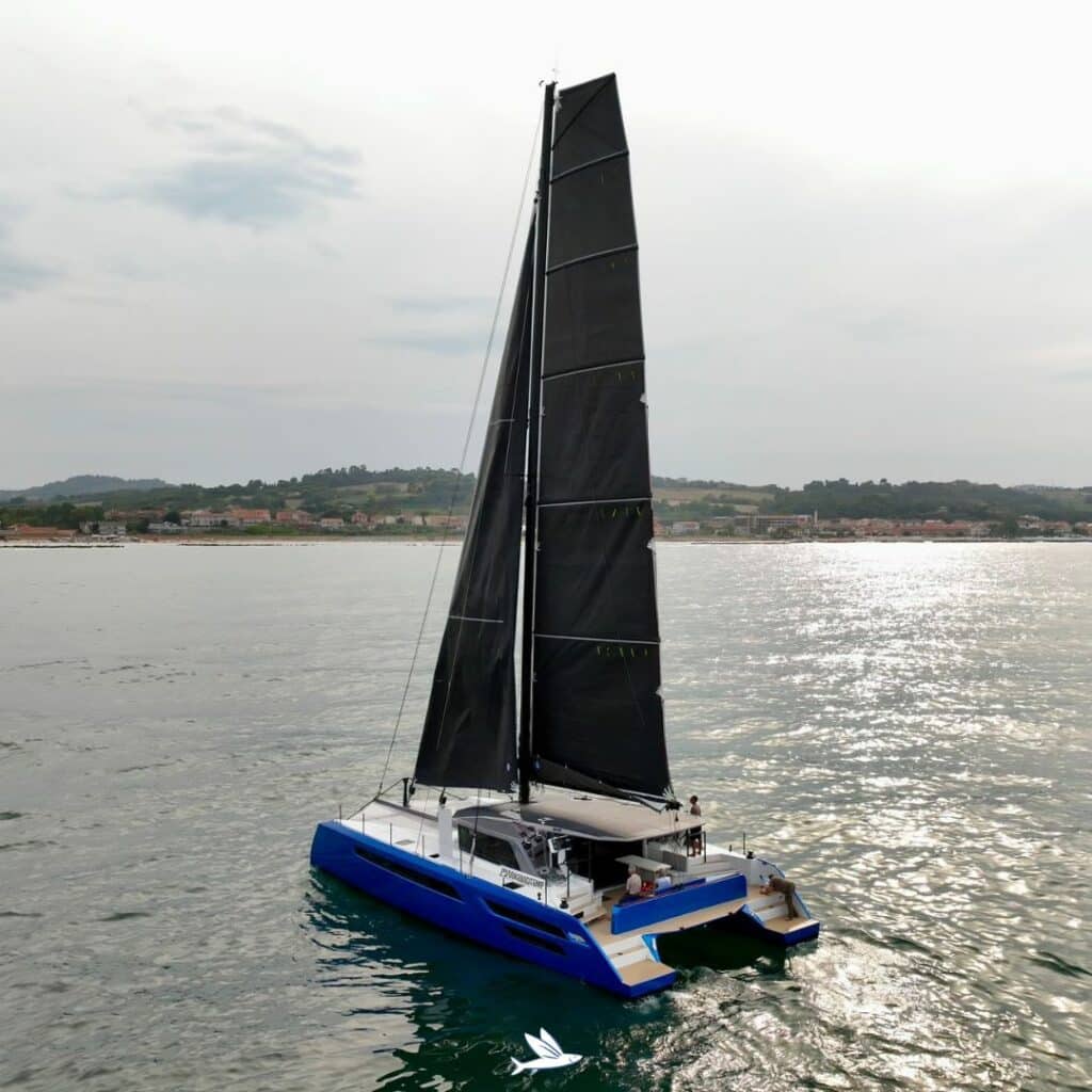 Maiden voyage of the SWISS CAT 55 – cat sale