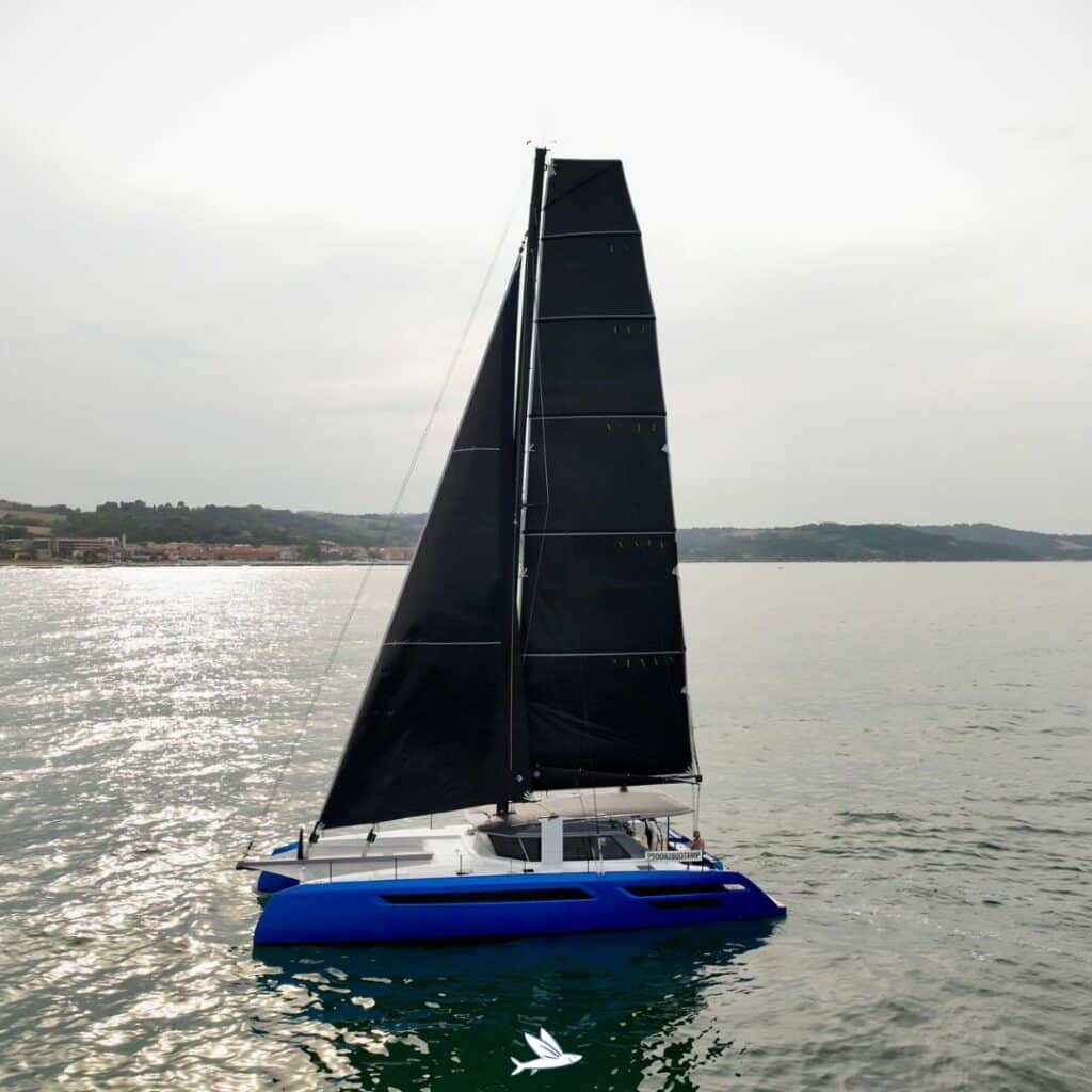 Maiden voyage of the SWISS CAT 55 – cat sale